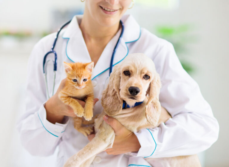 Local Pet Classifieds - Buy, Sell, Adopt, Free | PetClassifieds.com