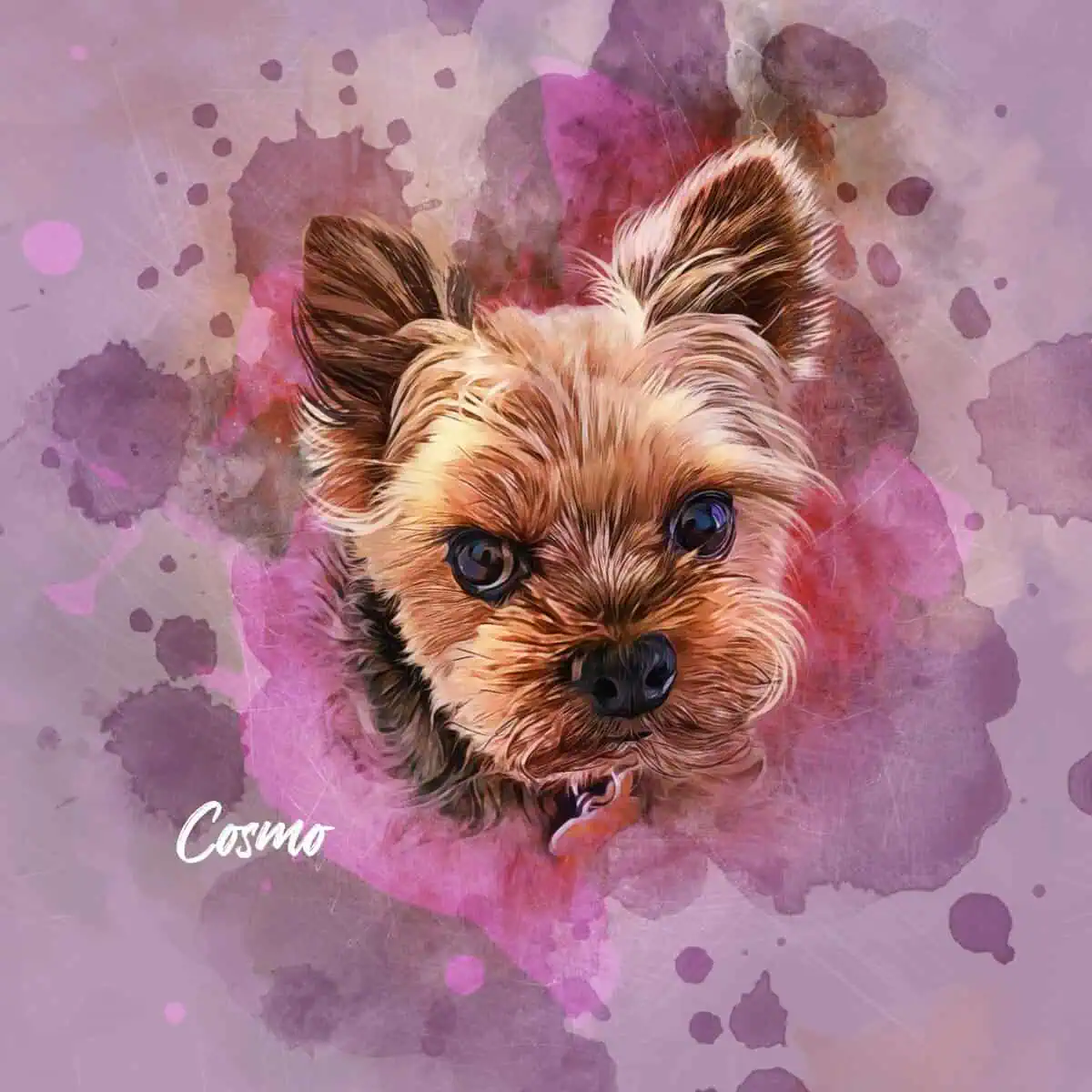 Senior dog | PetClassifieds.com